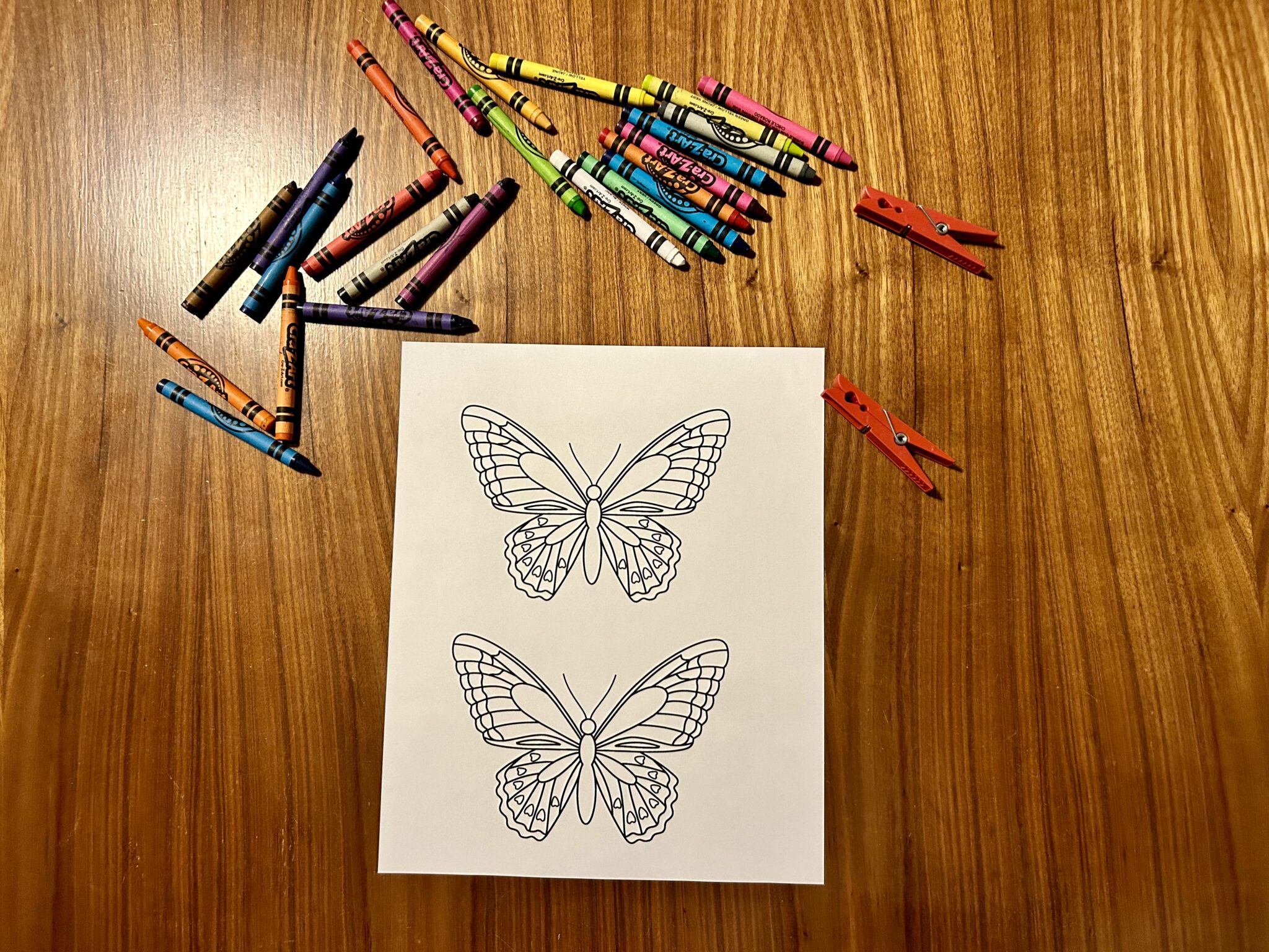 fluttering butterfly craft